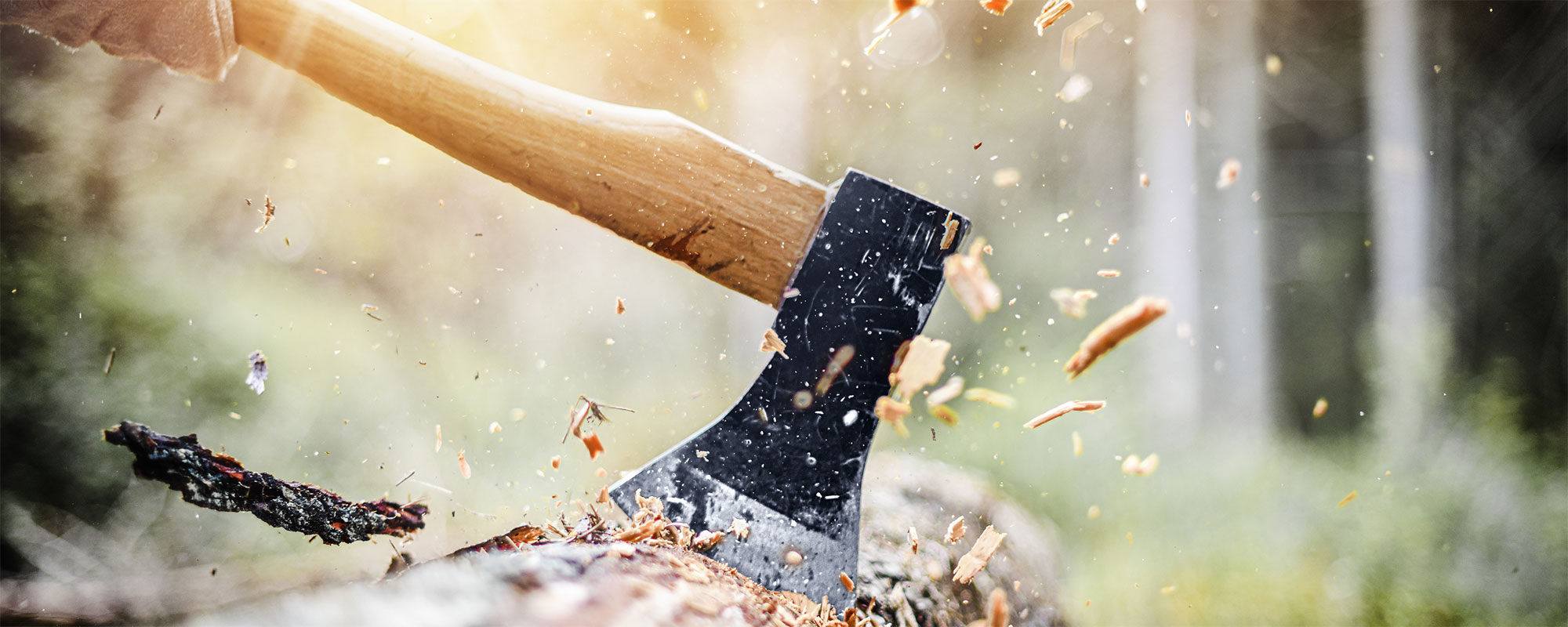 iQ Technologie | Hase Kaminofen